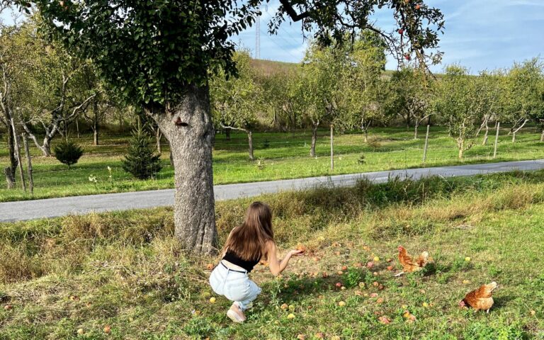 Die Hunza - ein Volk ohne Krankheit? - Traditionelle Ernährung ...